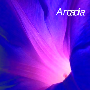 CLPD Arcadia Chikkabellandur, Old Madras Road Resale Price List ...