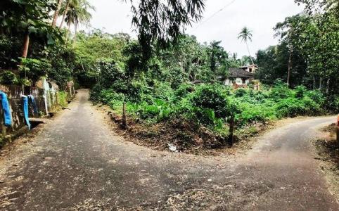 Freehold Plots in Curtorim, South Goa - 4+ Freehold Land/ Plots for ...