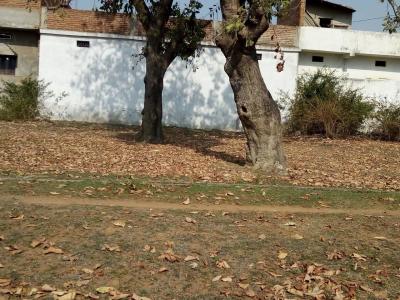 East Facing Plots in Burhar Shahdol - 1+ East Facing Land / Plots for ...