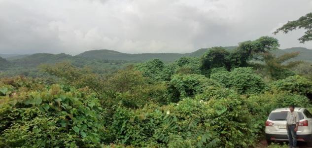 East Facing Plots in Madkai Goa - East Facing Land / Plots for sale in ...