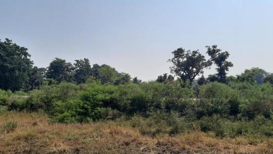 Plots for sale in Bichhiya Mandla - 1+ Residential Land / Plots in ...