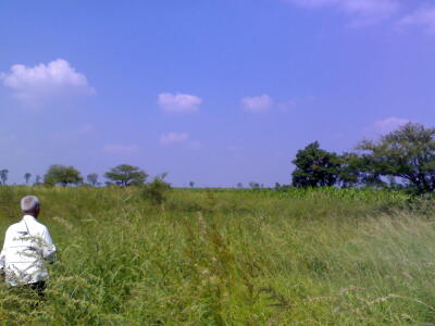 Agriculture / Farm land for sale in P.B.Road N.H 4 Highway Touch Others ...