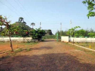 Residential land / Plot for sale in Paravada Visakhapatnam - 333 Sq. Yard.