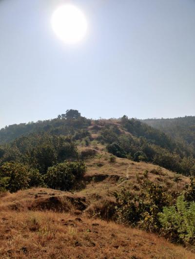 Residential land / Plot for sale in Alibaug Raigad - 98398 Sq. Yard.