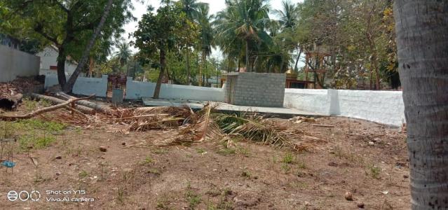 Property in Movva Krishna district - Real Estate in Movva Krishna district