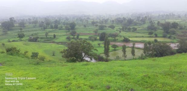 Agriculture / Farm land for sale in Bhor Pune - 2222 Sq. Yard.