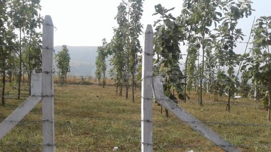 Corner Plots in Mau, Pune - Corner Land/ Plots for sale in Mau, Pune