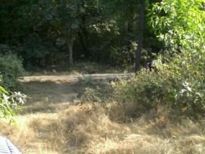 Residential land / Plot for sale in Dodamarg Sindhudurg - 776 Sq. Yard.