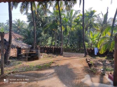 2 BHK Farm house for sale in pat gaon ( Pat Parule) maral wadi ...