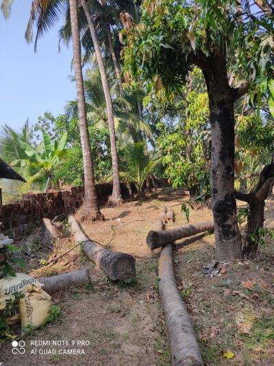 2 BHK Farm house for sale in pat gaon ( Pat Parule) maral wadi ...