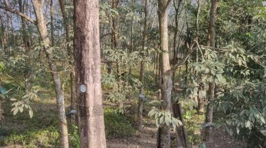 4499 sq yard to 8999 sq yard - Plot for sale in Kanyakumari