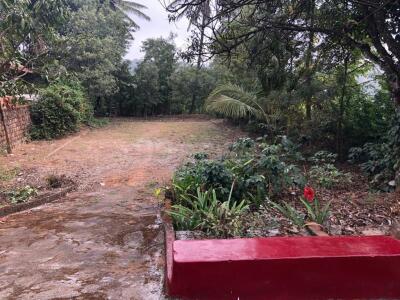3 BHK House / Villa for sale in Somwarpet Coorg / Madikeri - 33 Sq. Ft.