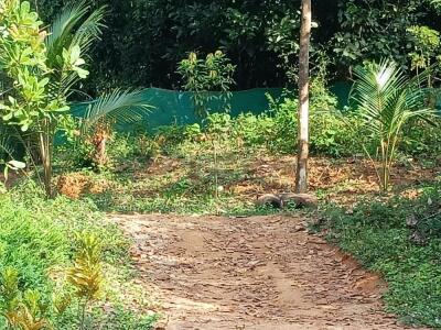 Freehold Plots in Hebri Udupi - Freehold Land / Plots for sale in Hebri ...