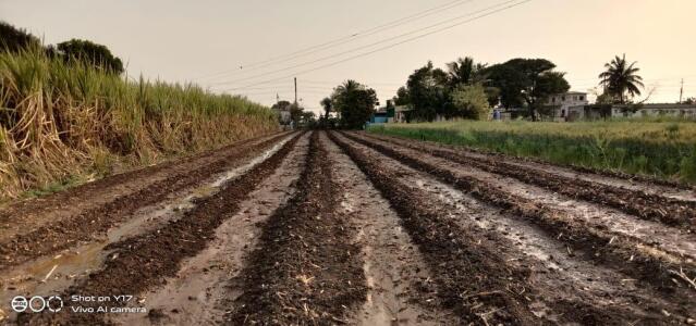 Agriculture / Farm land for rent in Markal Pune - 1452 Sq. Yard.
