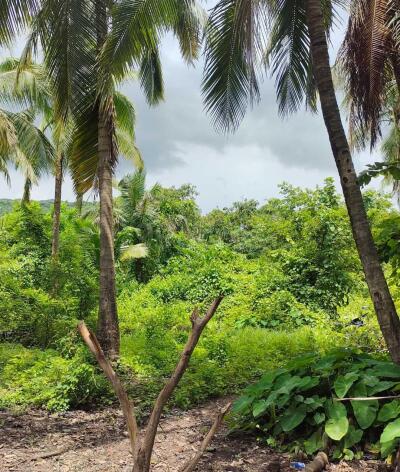 Residential land / Plot for sale in Alibaug Raigad - 9680 Sq. Yard.