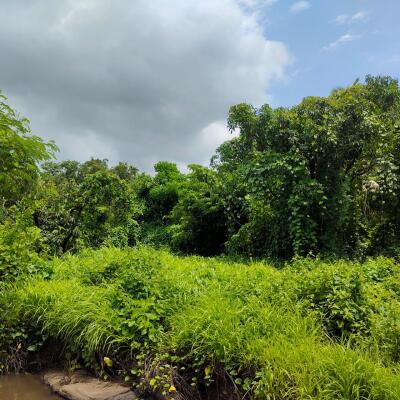 Residential land / Plot for sale in Alibaug Raigad - 9680 Sq. Yard.