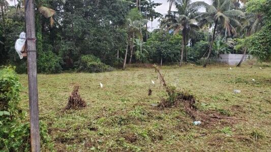 Residential land / Plot for sale in Puranattukara Thrissur - 1 Sq. Yard.