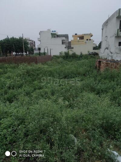 Property in Jhajjar - Real Estate in Jhajjar