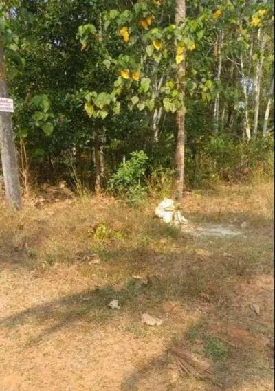 Residential land / Plot for sale in Parappur Thrissur - 290 Sq. Yard.