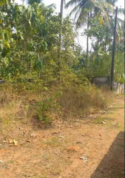 Residential land / Plot for sale in Parappur Thrissur - 290 Sq. Yard.