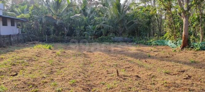 Residential land / Plot for sale in Kondazhy Thrissur - 484 Sq. Yard.