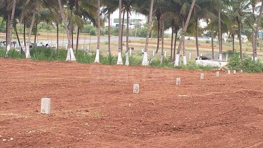 Plots in Palladam Tirupur - 5+ Residential Land/ Plots for sale in ...