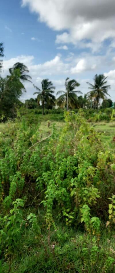 Residential land / Plot for sale in Rajankunte Bangalore North - 222 Sq ...