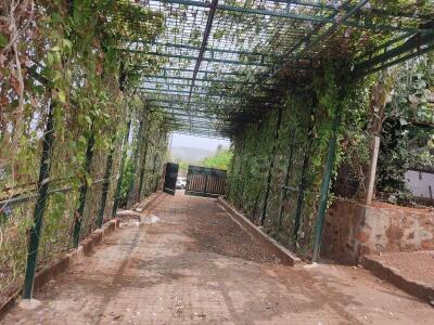 Residential land / Plot for sale in Alibaug Raigad - 2222 Sq. Yard.