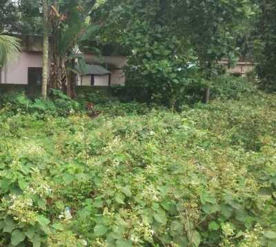 Freehold Plots in Pattathanam, Kollam - 3+ Freehold Land/ Plots for ...