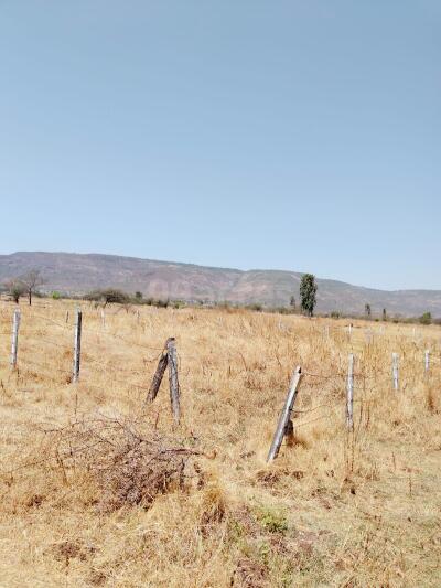 Residential land / Plot for sale in Kanhe Pune - 348 Sq. Yard.