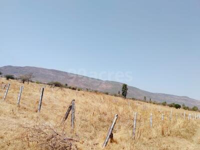 Residential land / Plot for sale in Kanhe Pune - 348 Sq. Yard.