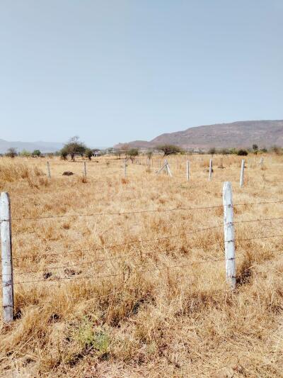 Residential land / Plot for sale in Kanhe Pune - 348 Sq. Yard.