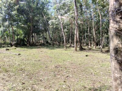 Plots for sale in Arpookara Kottayam - 2+ Residential Land / Plots in ...