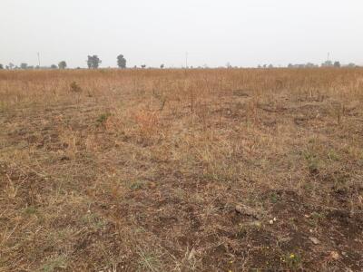 Agriculture / Farm land for sale in Arvi Wardha - 14520 Sq. Yard.