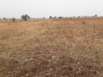 Agriculture / Farm land for sale in Arvi Wardha - 14520 Sq. Yard.