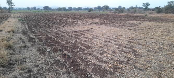 Agriculture land for sale in Dhule - Farm land for sale in Dhule