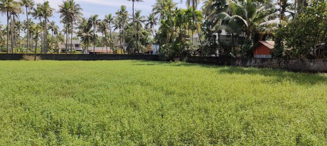 Plots for sale in Padiyur Thrissur - 1+ Residential Land / Plots in ...