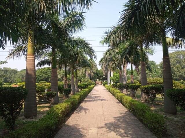 Sector 9 Rohini, Delhi - Map, Property Rates, Projects, Reviews, Photos ...