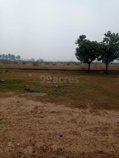 Industrial land / plot for sale in Banur Mohali - 500 Sq. Yard.