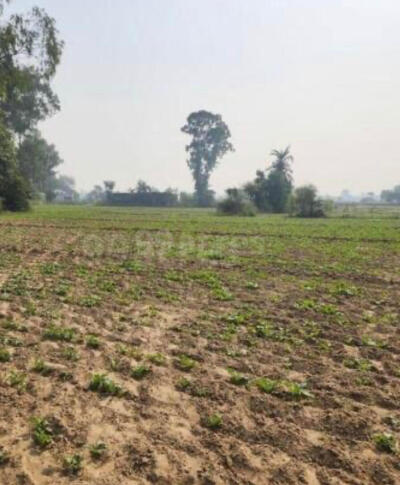 Resale Farm house in Rewari - Second hand Farm house for sale in Rewari