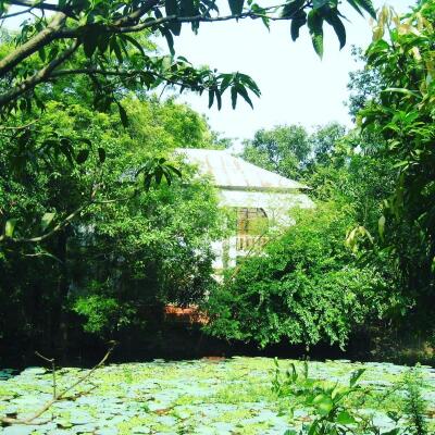 4 BHK / Bedroom Farm house for rent in Bolpur Shantiniketan - 1000 Sq. Ft.