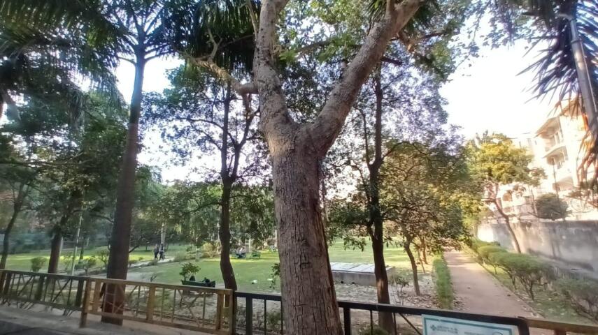 Sector 62, Noida - Map, Property Rates, Projects, Reviews, Photos & Videos