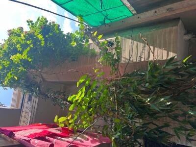 House for Sale in Mehrauli Delhi - 15+ House in Mehrauli Delhi