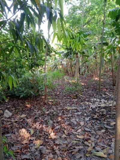 Freehold Plots in Bangaon North 24 Parganas - Freehold Land / Plots for sale in Bangaon North 24 ...