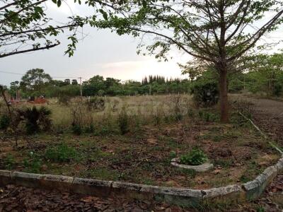 Gated Community Plots in Pendurthi Mandal Visakhapatnam - 4+ Properties