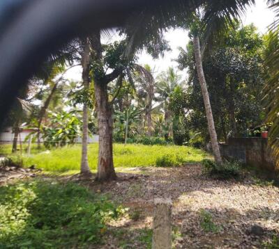 Plots for sale in Thiruvarpu Kottayam - Residential Land / Plots in ...