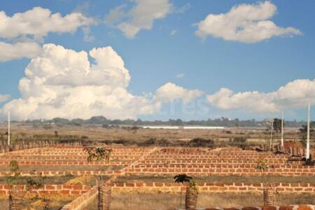 Plots in Pitapalli, Bhubaneswar - Residential Land/ Plots for sale in ...