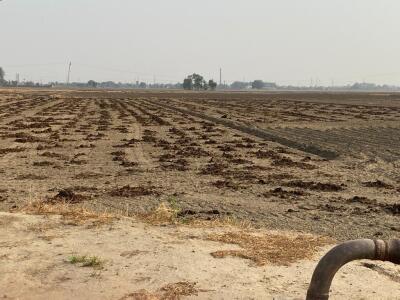 Residential land / Plot for sale in Dhandra Road Ludhiana - 12100 Sq. Yard.