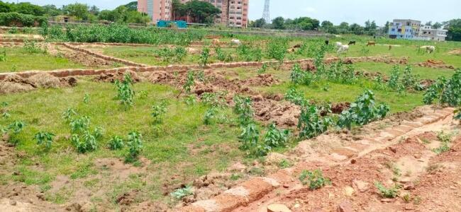 Gated Community Plots in Balikuda Chakk Cuttack - Properties