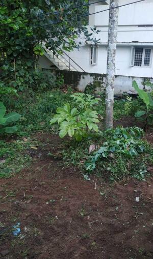 Gated Community Plots in Paravattani Thrissur - 2+ Properties